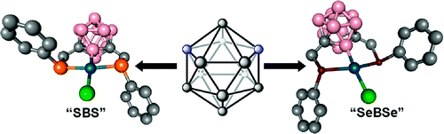 Carborane-Based Pincers: Synthesis and Structure of SeBSe and SBS Pd(II ...