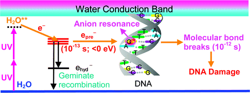Bond Breaks of Nucleotides by Dissociative Electron Transfer of ...