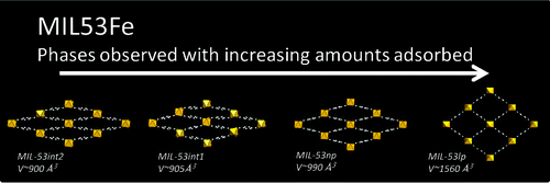 Complex Adsorption of Short Linear Alkanes in the Flexible Metal ...