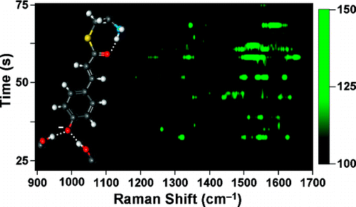 Surface-Enhanced Raman Scattering Captures Conformational Changes of ...