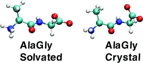 Solvation and Hydrogen Bonding in Alanine- and Glycine-Containing ...