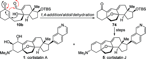 Total Synthesis and Biological Evaluation of Cortistatins A and J and ...
