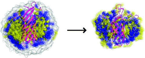 Molecular Dynamics Simulations of a Membrane Protein−Micelle Complex in ...
