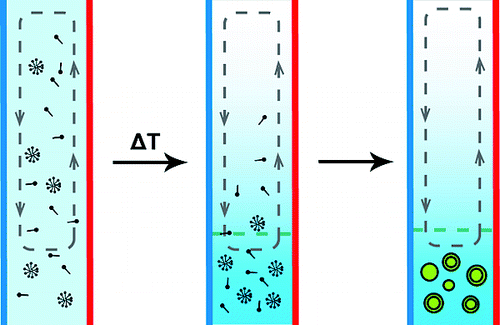 Formation of Protocell-like Vesicles in a Thermal Diffusion Column ...