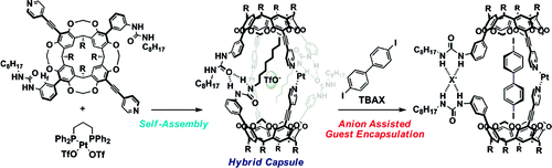 Hybrid Cavitand Capsule with Hydrogen Bonds and Metal−Ligand ...