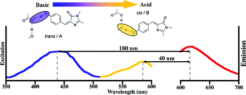 Reverse pH-Dependence of Chromophore Protonation Explains the Large ...