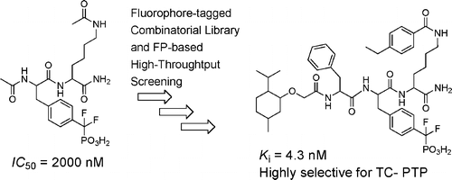 Acquisition of a Potent and Selective TC-PTP Inhibitor via a Stepwise ...