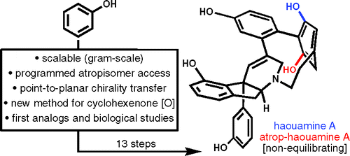 Scalable Total Synthesis and Biological Evaluation of Haouamine A and ...