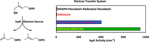 Revisiting the IspH Catalytic System in the Deoxyxylulose Phosphate ...
