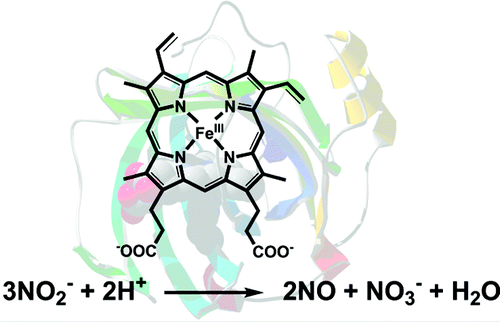 Formation of Nitric Oxide from Nitrite by the FerrihemebProtein ...