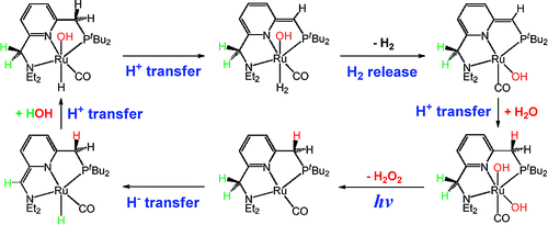 Mechanism of Water Splitting and Oxygen−Oxygen Bond Formation by a ...