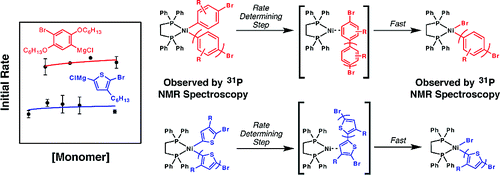 Mechanistic Studies on Ni(dppe)Cl2-Catalyzed Chain-Growth ...