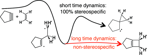 Significance of Nonstatistical Dynamics in Organic Reaction Mechanisms ...