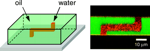 Multiphoton Writing of Three-Dimensional Fluidic Channels within a ...