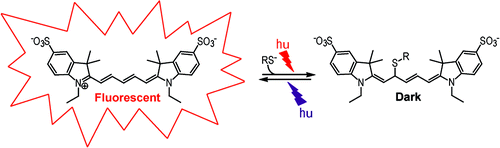 Photoswitching Mechanism of Cyanine Dyes,Journal of the American ...