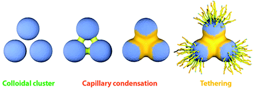 Conjugation of Colloidal Clusters and Chains by Capillary Condensation ...