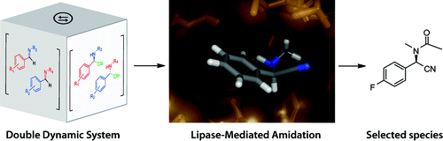 Dynamic Asymmetric Multicomponent Resolution: Lipase-Mediated Amidation ...