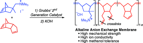 A Ring-Opening Metathesis Polymerization Route to Alkaline Anion ...