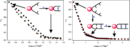 Impacts of the Location and Number of [Cu(bpy)2]2+Cross-Links on the ...