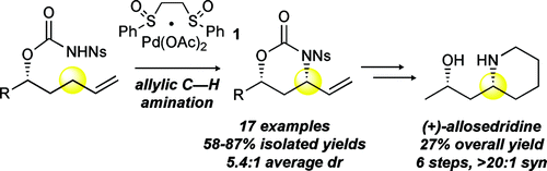 Allylic C−H Amination for the Preparation ofsyn-1,3-Amino Alcohol ...