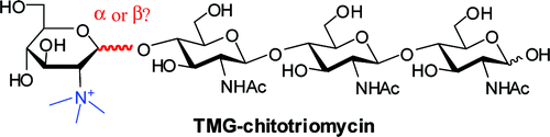 Total Synthesis and Structural Revision of TMG-chitotriomycin, a ...