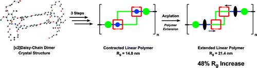Switching and Extension of a [c2]Daisy-Chain Dimer Polymer,Journal of ...