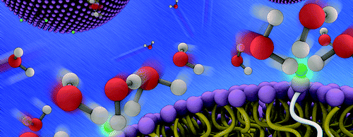 Ultrasensitive Detection of Interfacial Water Diffusion on Lipid ...