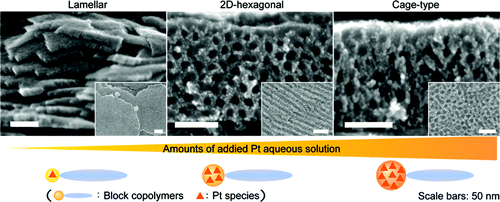 Tailored Electrochemical Synthesis of 2D-Hexagonal, Lamellar, and Cage ...