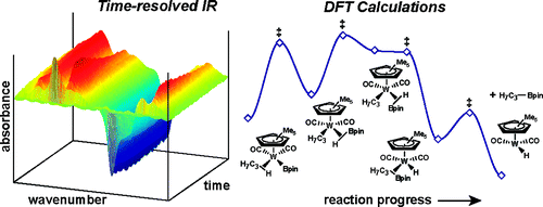 Time-resolved IR Studies on the Mechanism for the Functionalization of ...