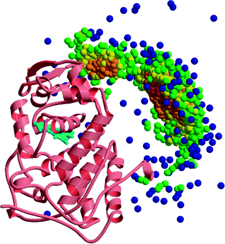 细胞色素c和细胞色素c过氧化物酶瞬时电子转移复合物的相遇集合的可视化,Journal of the American Chemical ...