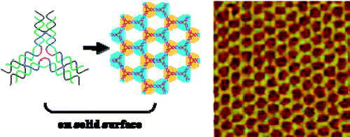 表面介导的 DNA 自组装,Journal of the American Chemical Society - X-MOL