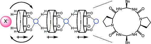 Anion−Macrodipole Interactions: Self-Assembling Oligourea/Amide ...