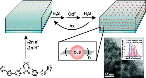 CdS 纳米粒子在导电金属聚合物基质中的种子生长,Journal of the American Chemical Society - X-MOL