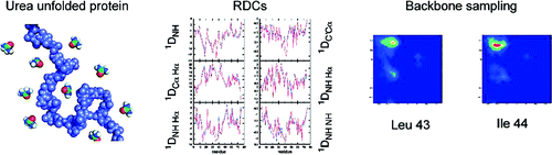 Quantitative Description of Backbone Conformational Sampling of Unfolded Proteins at Amino Acid ...