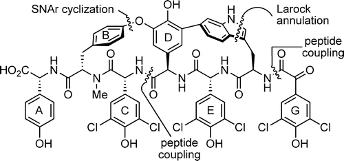 Total Synthesis of Chloropeptin II (Complestatin) and Chloropeptin I ...