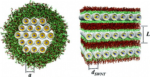 Thermally Switchable One- and Two-Dimensional Arrays of Single-Walled ...
