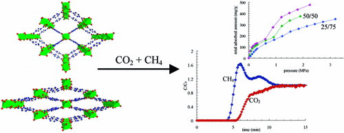 Co-adsorption and Separation of CO2−CH4 Mixtures in the Highly Flexible ...