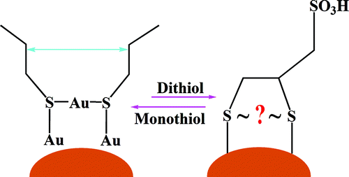 Synthesis and Structural Determination of Multidentate 2,3-Dithiol ...