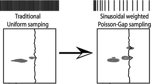 Poisson-Gap Sampling and Forward Maximum Entropy Reconstruction for ...