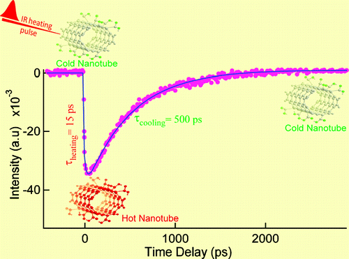 Heating and Cooling Dynamics of Carbon Nanotubes Observed by ...