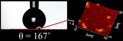 Surface-Initiated Polymerization of Superhydrophobic Polymethylene ...