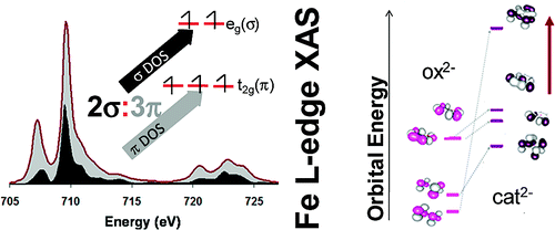 Fe L-Edge X-ray Absorption Spectroscopy Determination of Differential ...