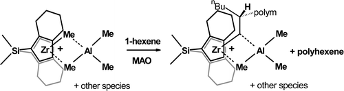Reactive Intermediates Formed During Olefin Polymerization by ...