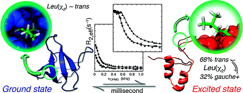 Determination of Leu Side-Chain Conformations in Excited Protein States ...