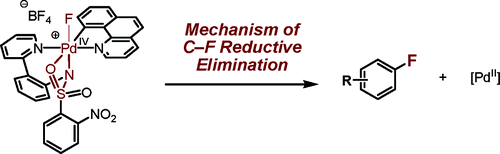 Mechanism of C−F Reductive Elimination from Palladium(IV) Fluorides ...