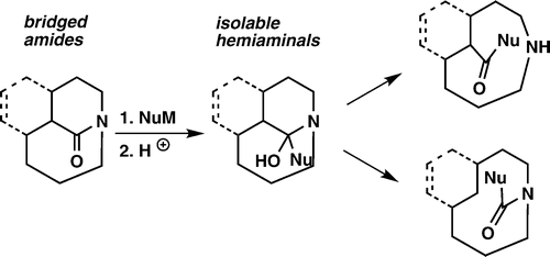 Proximity Effects in Nucleophilic Addition Reactions to Medium-Bridged ...