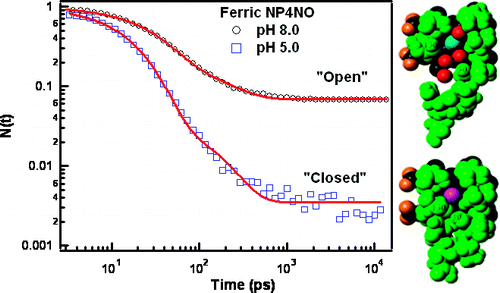 Ultrafast Dynamics of Diatomic Ligand Binding to Nitrophorin 4,Journal ...