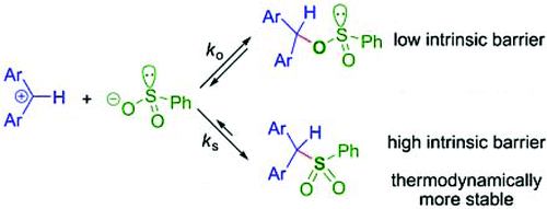 Nucleophilicity and Nucleofugality of Phenylsulfinate (PhSO2−): A Key ...