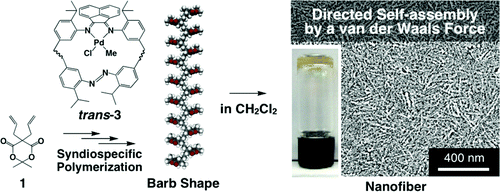 Shape-Directed Assembly of a “Macromolecular Barb” into Nanofibers ...