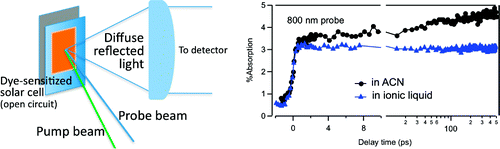 Femtosecond Diffuse Reflectance Transient Absorption for Dye-Sensitized ...